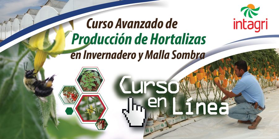 Curso Virtual: Avanzado de Producción de Hortalizas en Invernadero y Malla Sombra - Inicio ...